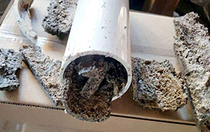 Drain Cleaning & Clog Removal | Leesburg Plumbing Experts | Ashburn ...